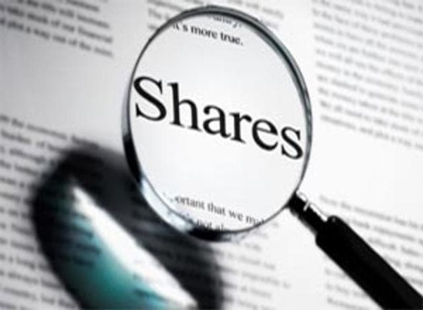 Introduction to Shares - Free ZIMSEC & Cambridge Revision Notes
