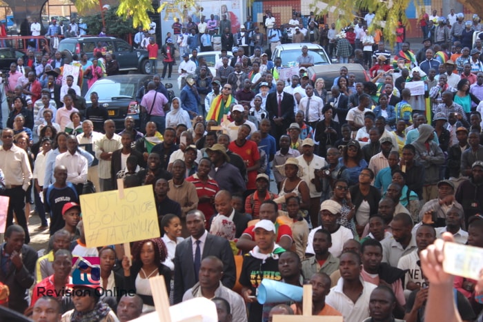 Constitution of Zimbabwe: Freedoms - Free ZIMSEC & Cambridge Revision Notes