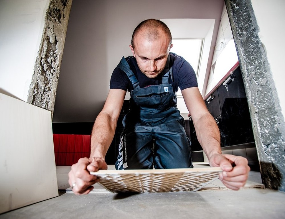 Causes of Mfecane/Difaqane - Free ZIMSEC & Cambridge Revision Notes